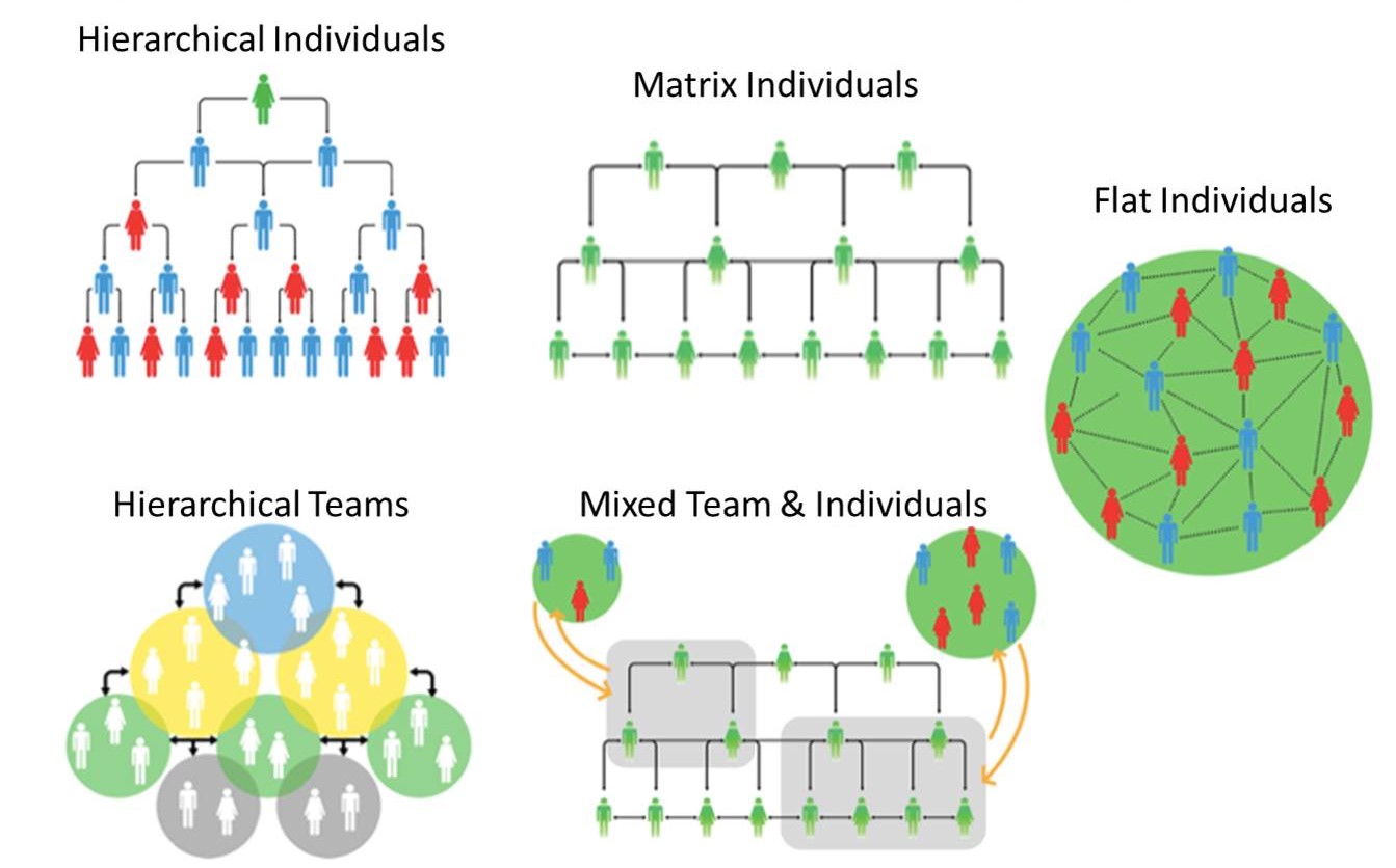Design Considerations for Organizational Structures ...